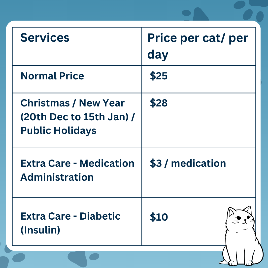 Best Cattery South Auckland | The Vet Clinic